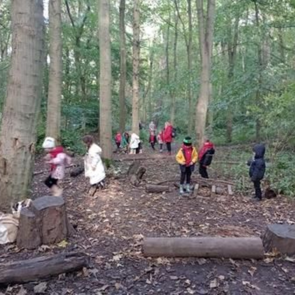 Caedmon Community Primary School - Year 1 Kirkley Hall Forest